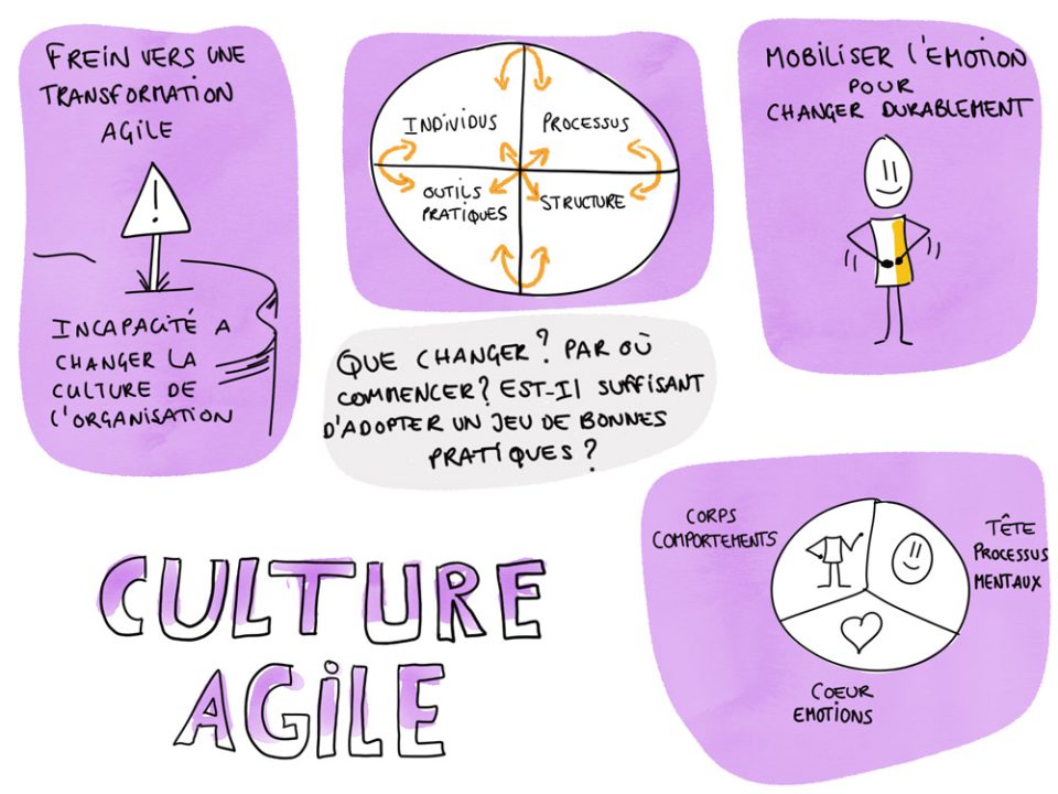 AGILE ROCKET - Goood!